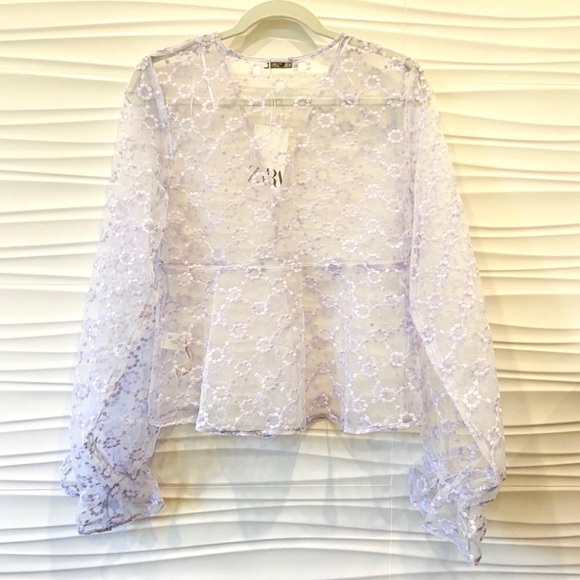 Zara | Tops | Nwt Zara Embroidered Sheer Top | Poshmark